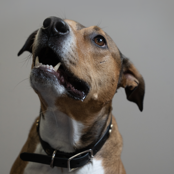 About Us | A&H Electric